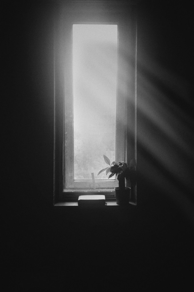 The Overton Window: How Unthinkable Ideas Become The Norm – Paul Taylor
